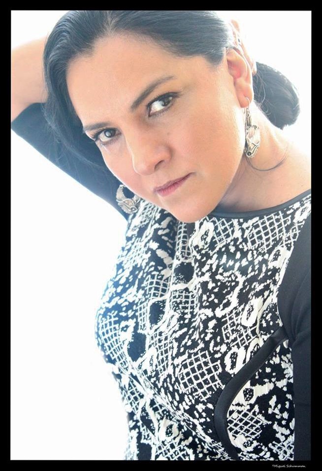 Acerca de Zaide Silvia